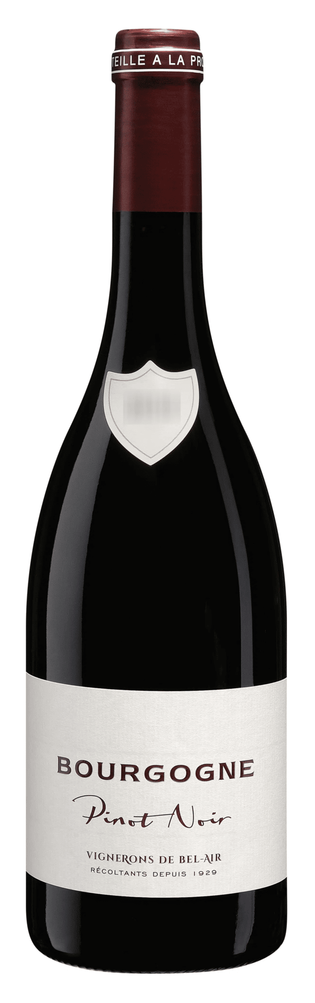 Bourgogne Pinot Noir – Vinescence